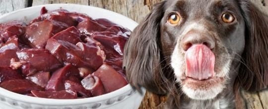 Offal Meats